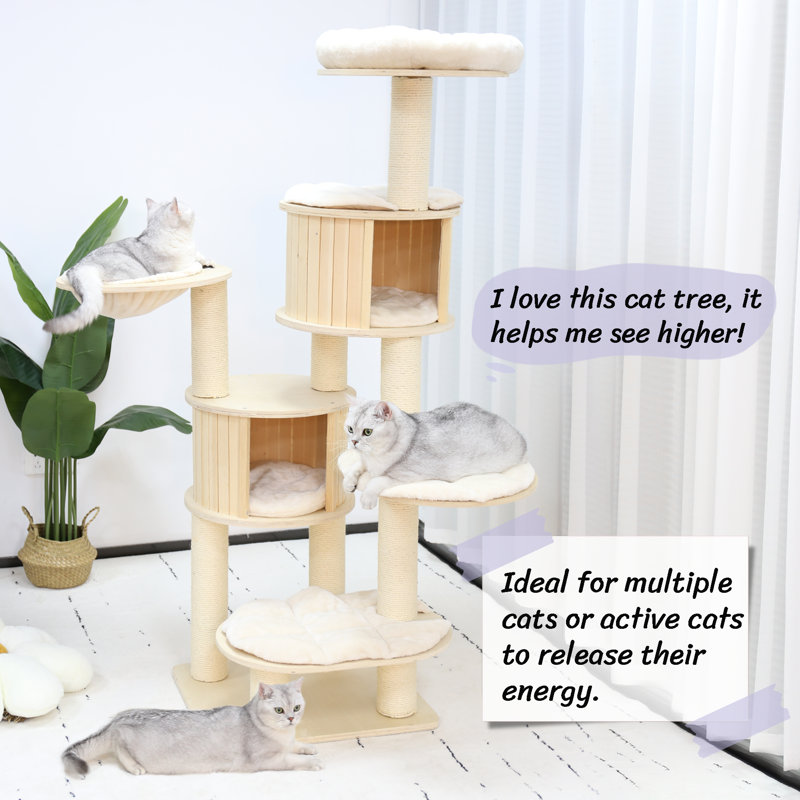 Tucker Murphy Pet™ Dujka 67'' H Wooden Cat Tree for Large Cats, Multi-Level Cat Tower with ...